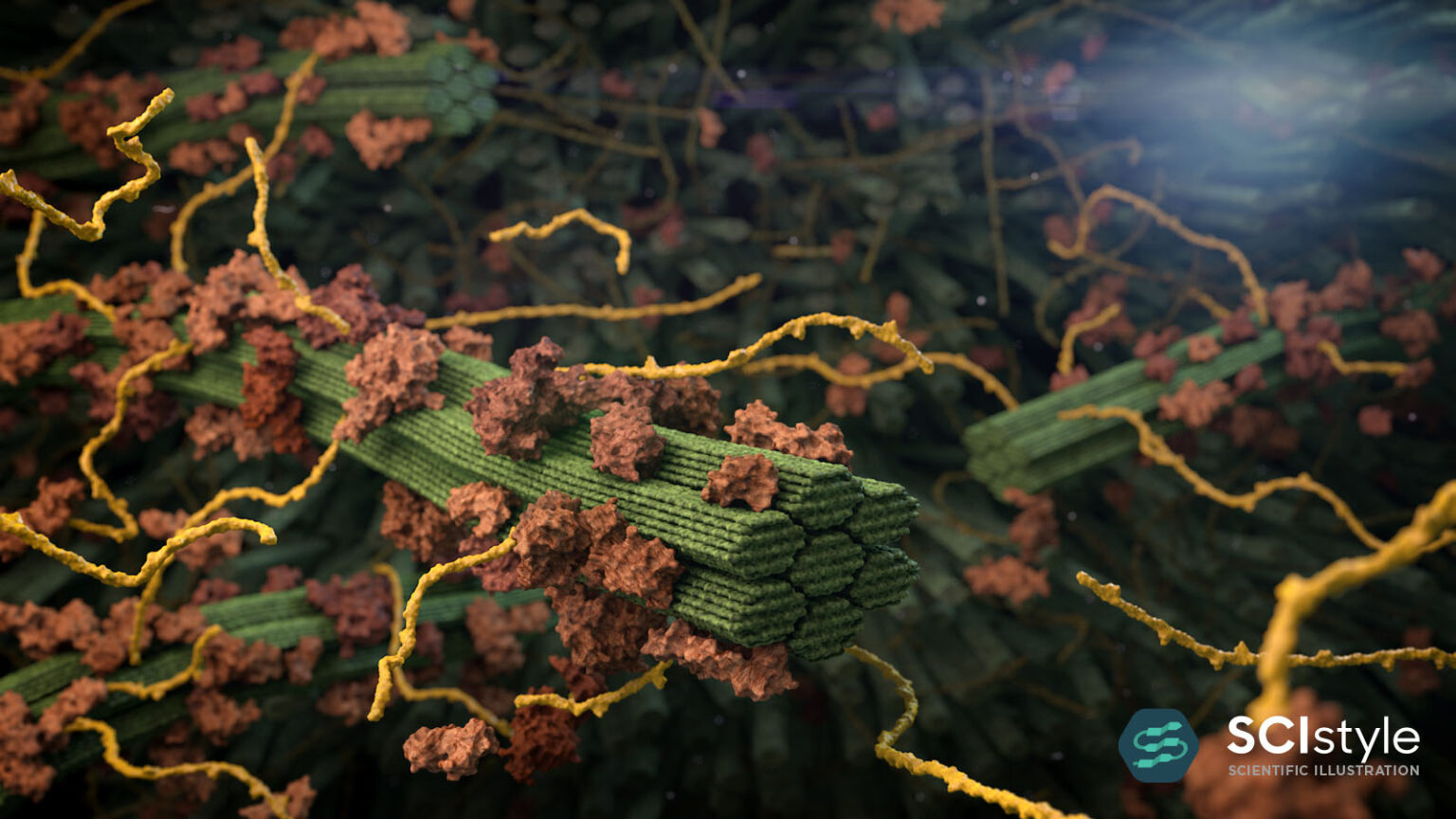 Lignocellulose – SciStyle