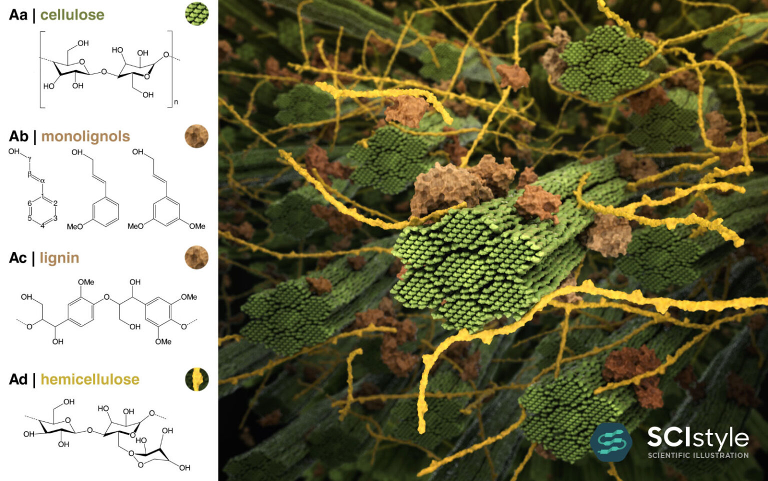 Lignocellulose – SciStyle