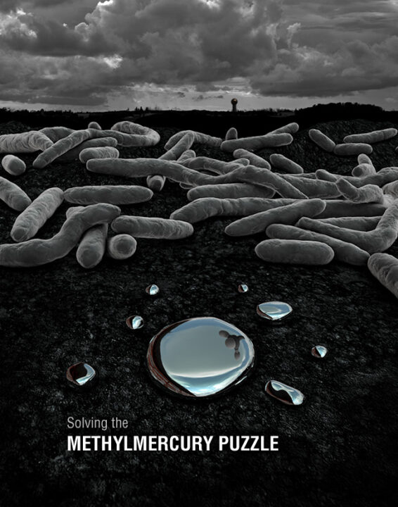 Methylmercury – SciStyle