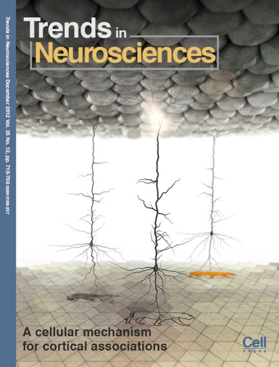 Cover design process – SciStyle