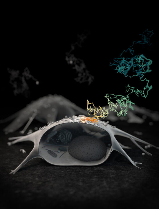 Nanoparticle Visualization – SciStyle