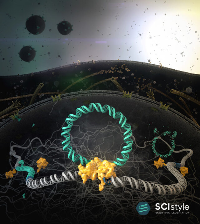 Brec1-Recombinase – SciStyle