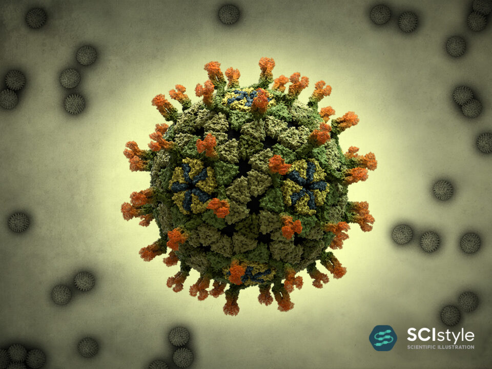 Viruses – SciStyle