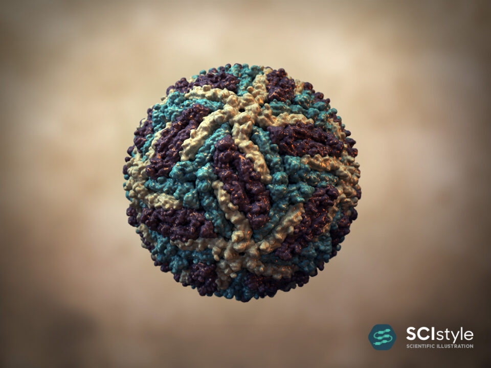 Viruses – SciStyle