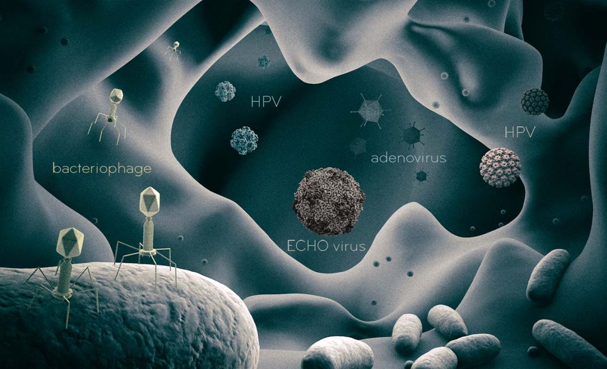 Viruses & Bacteria – SciStyle