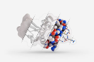 SciStyle – Scientific illustration and animation