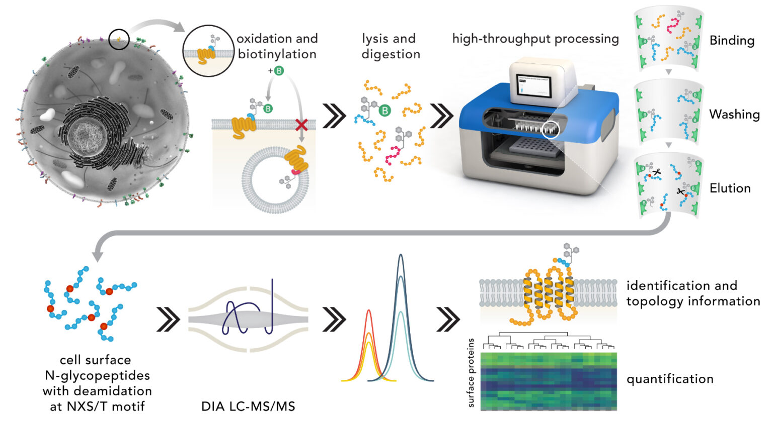 Publication Figures – SciStyle
